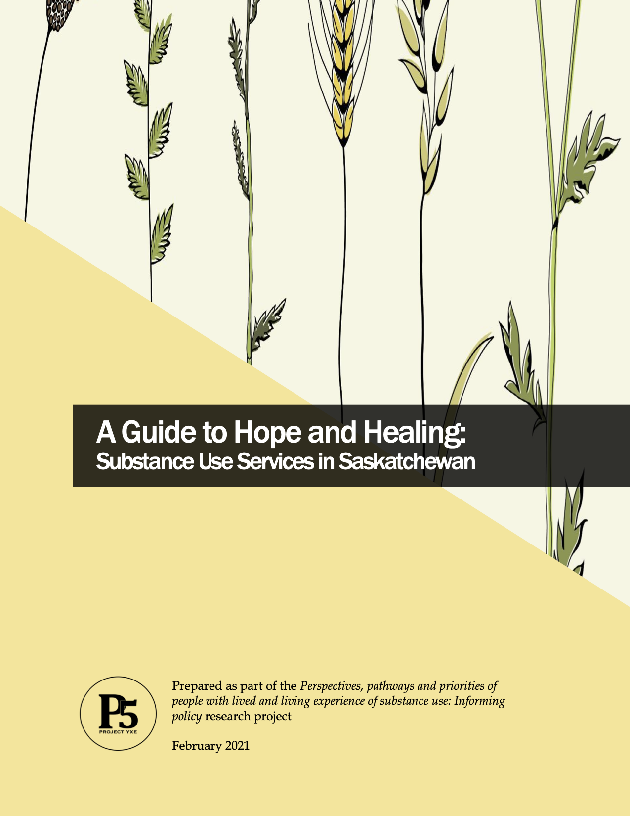 P5 Presentations & Publications – P5 Project YXE